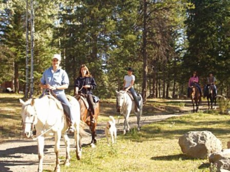 Pension Lone Butte, British Columbia Beaver Guest Ranch im Sommer ...